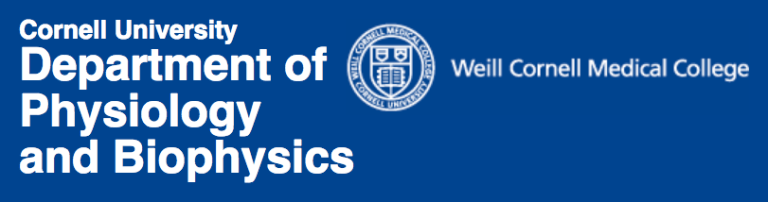 Scheuring Lab | Bio-AFM-Lab